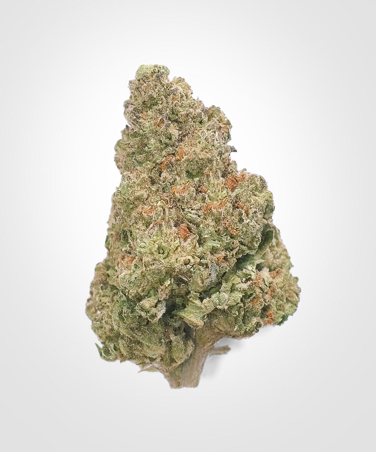 Apple Fritter THCA Flower | Imperial Extraction Apple Fritter THCA Flower | Imperial Extraction
